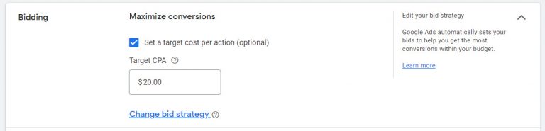 Google Ads Bid Strategy: When to use Target vs. Max CPA & ROAS – Adalysis